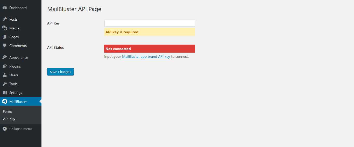 Link Your WordPress Site With Your MailBluster Mailing List