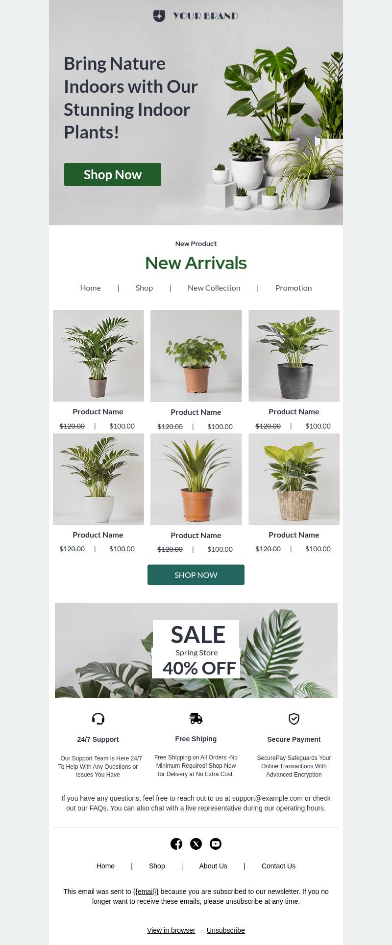 MailBluster Spring Newsletter Templates: Guidelines & Ideas